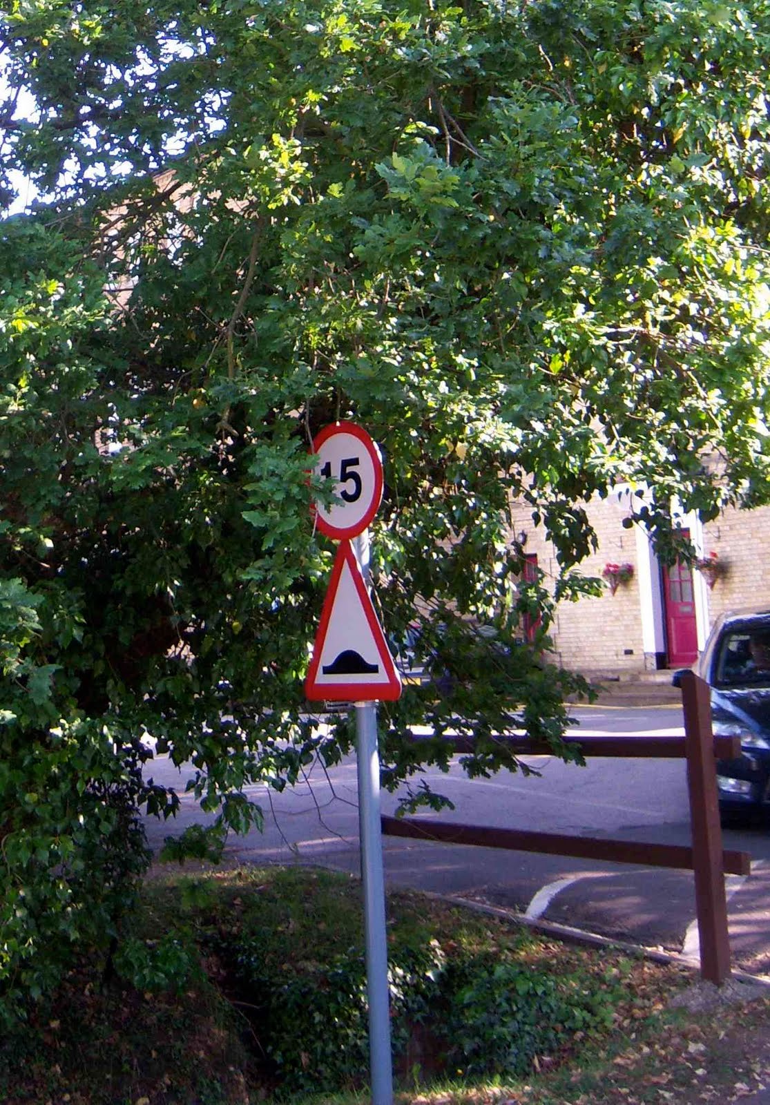 Haileyburiana: 8/29/10 - 9/5/10