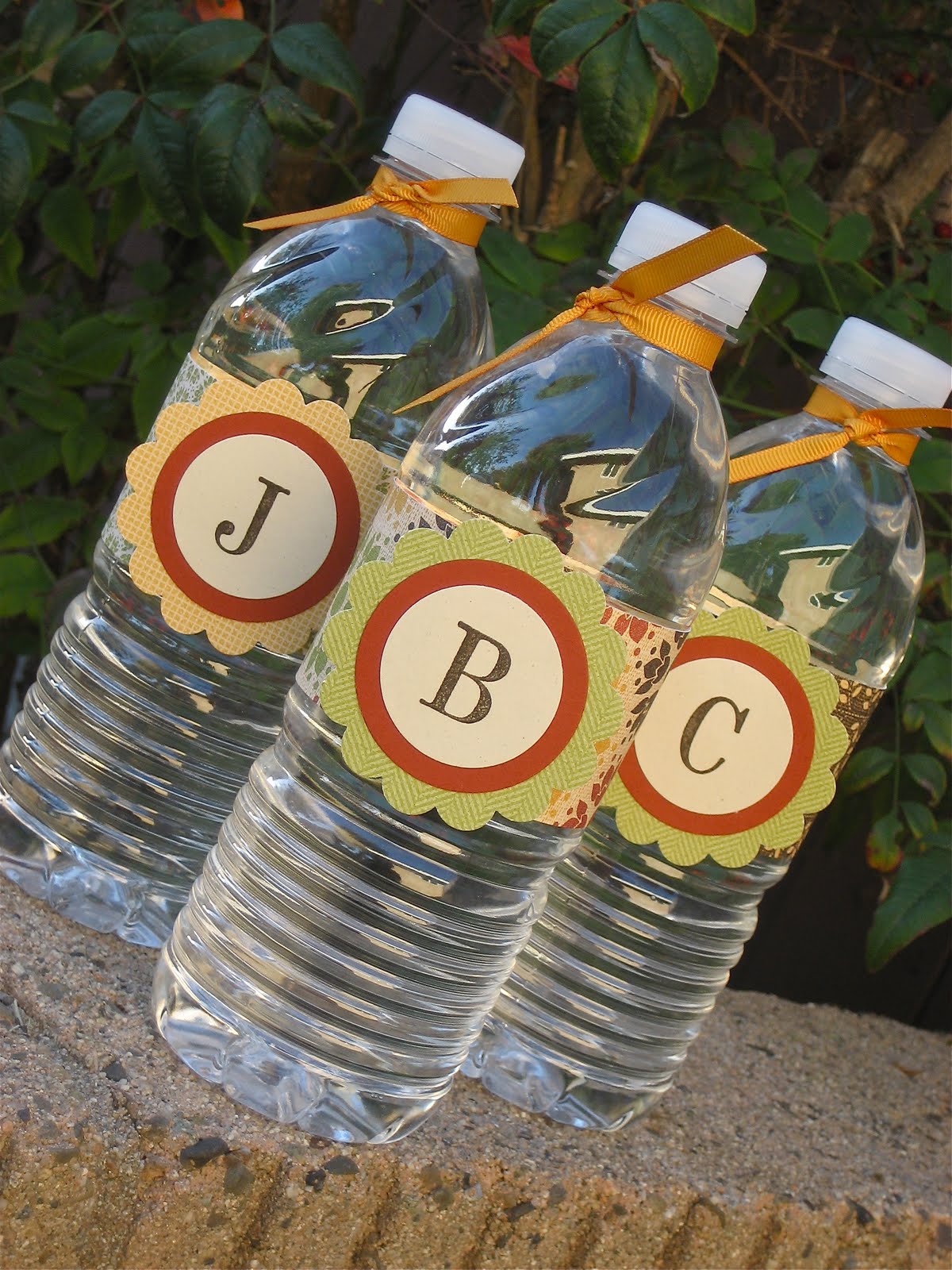Random Craft: Decorated Water Bottles