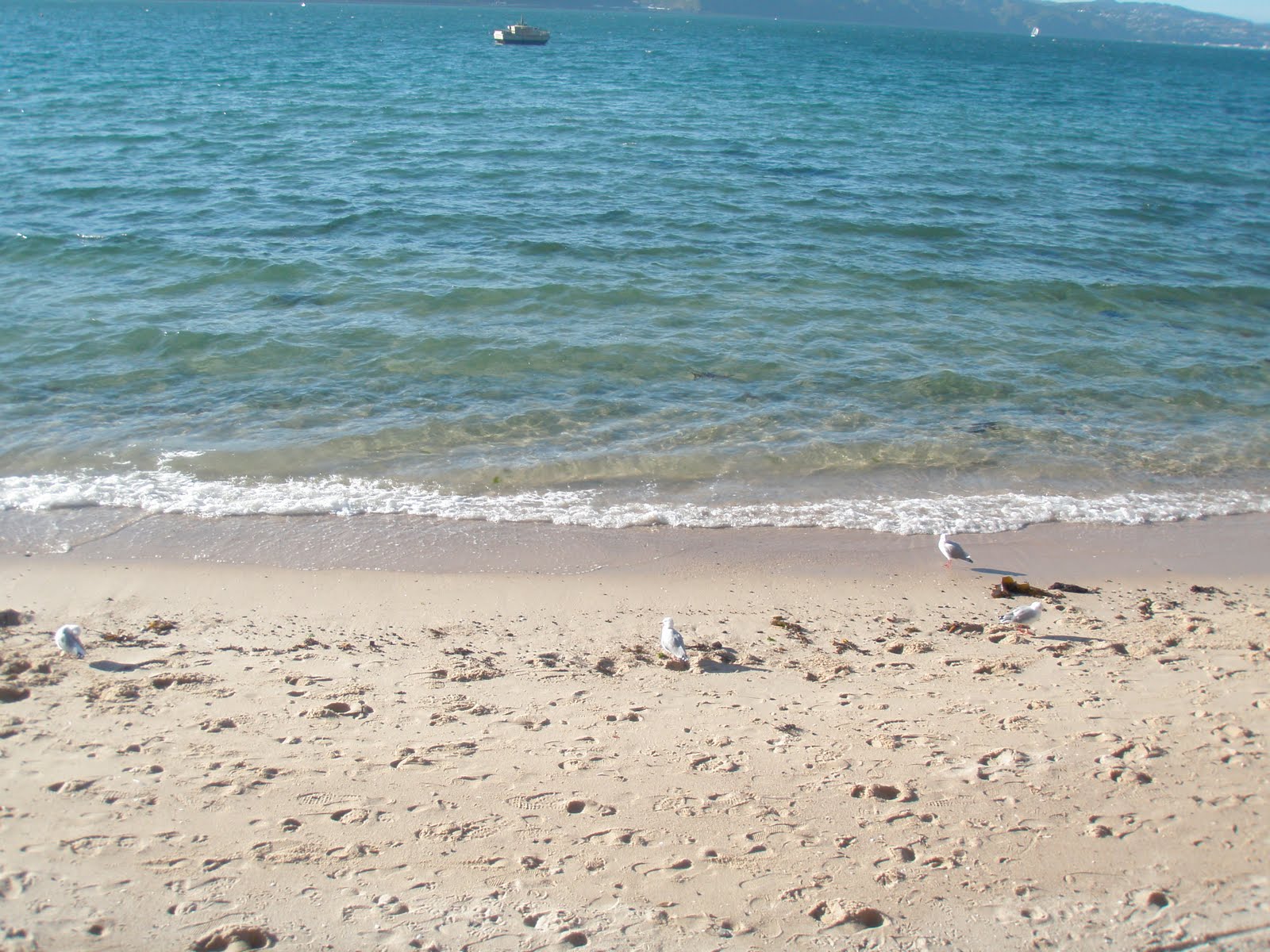 Café Chick's Project 365: Day 246 - Seashore