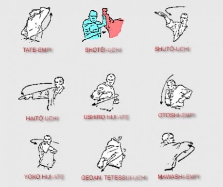 JKA NIKKEY ASSOCIACAO ARAPONGUENSE: Posições - Dachi e Golpes (Tecnicas ...