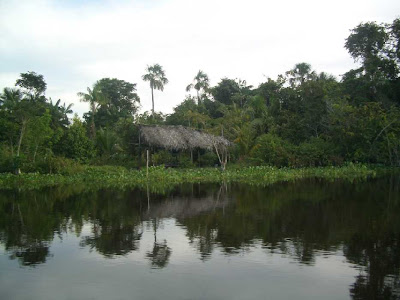 Arepa con Todo: Delta del Orinoco: Paseo por los caños, hasta el Río ...