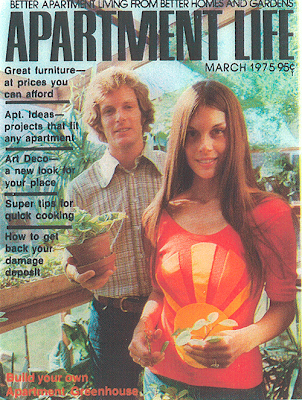 Home Sick:: The fold of Metropolitan Home