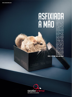 introducingnunoleal: Acção Animal - BBDO Portugal