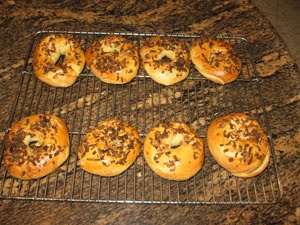 BreadMan Talking: Convenience and Style- The New York Water Bagel