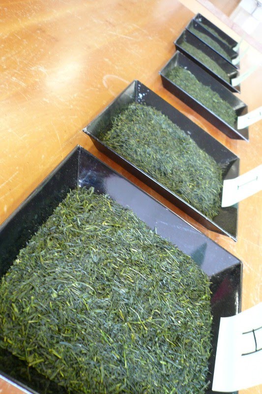 Tales of Japanese tea: Selecting the sample teas for tea workshops