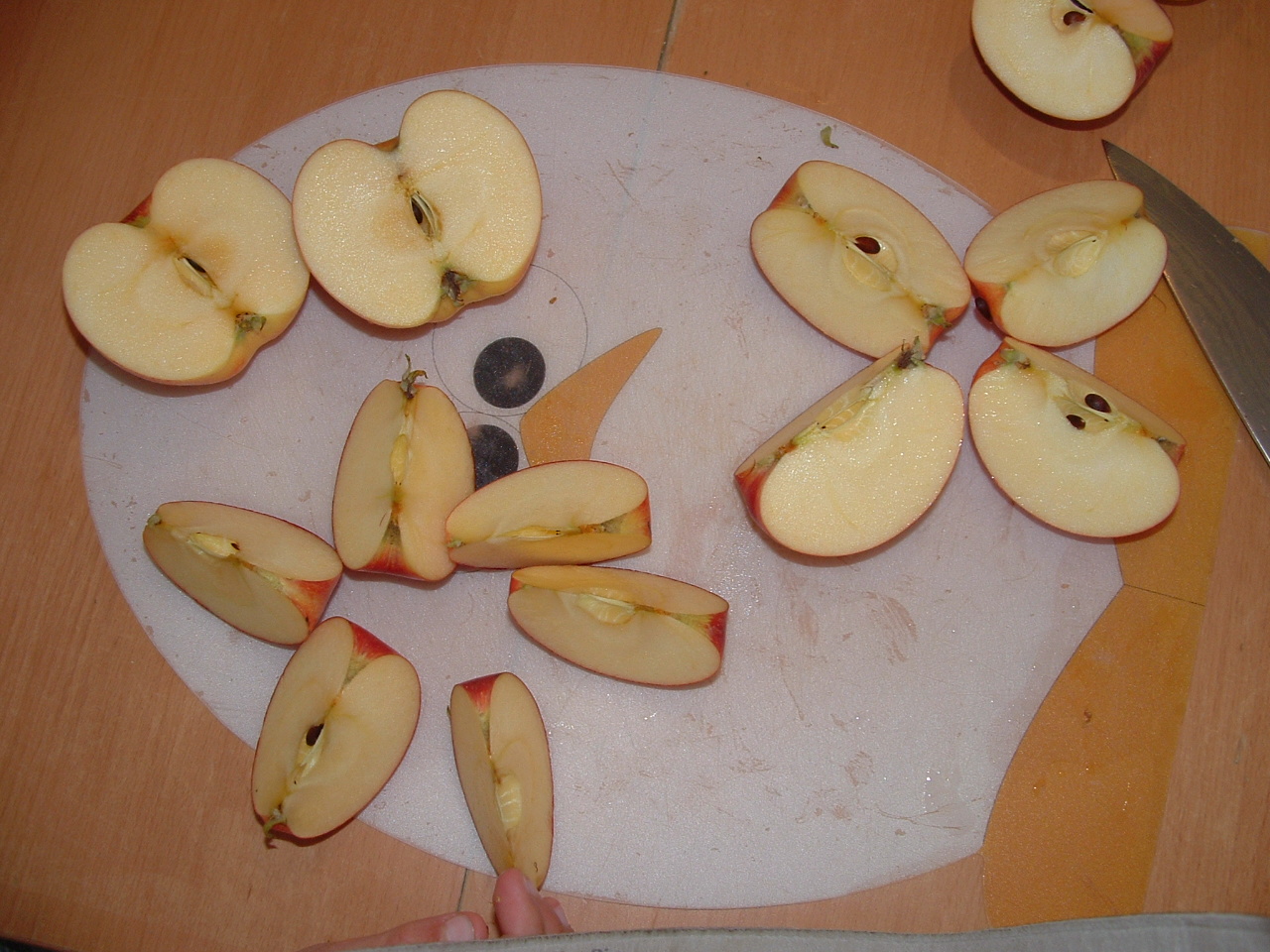 Pieces by Polly: Apple Fractions - Book and Activity