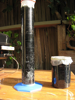 Molly's Winogradsky Column Experiment
