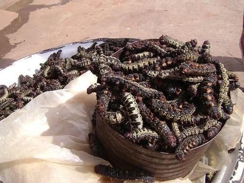 my pointless: more unusual Christmas traditions: food