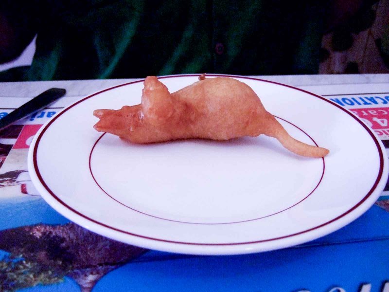 Dingo Farm: Creatures. Love them or eat them