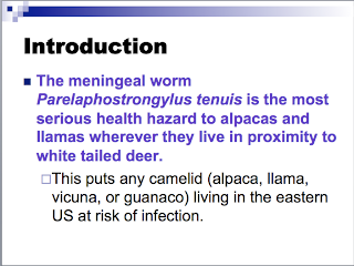 FarmLife: Steve Purdy, DVM on Common Camelid Health Issues at GALA 2010 ...