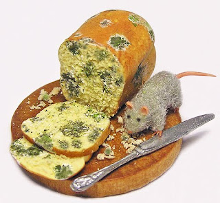 Nació o Se Nació | SpanishDictionary.com Answers