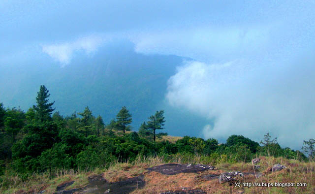 Passion for Road Trips: Ponmudi - Truly A Golden Peak