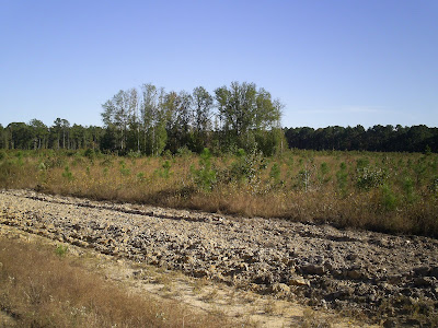 A 100 Foot Line - Creekbank Stories