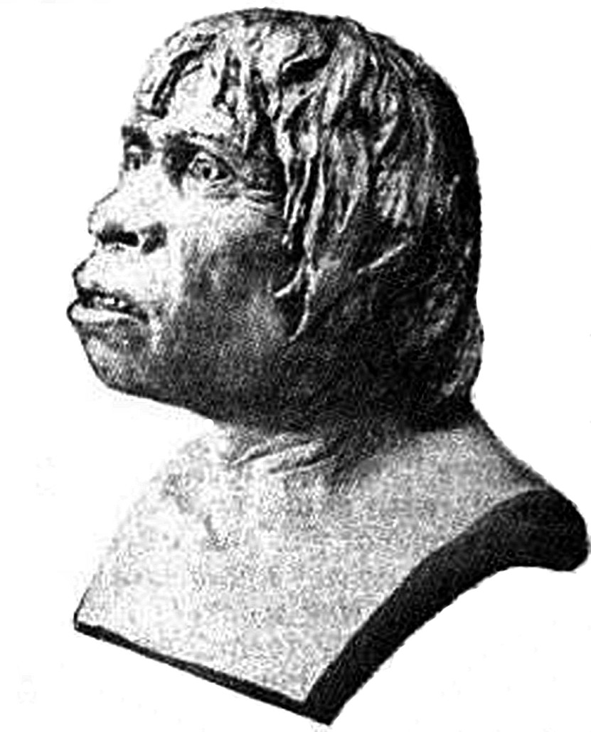 Piltdown Man Public Domain Clip Art Photos and Images