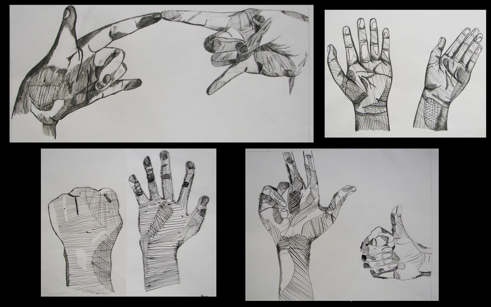Black River Art Blog: Observational Contour Line Drawing