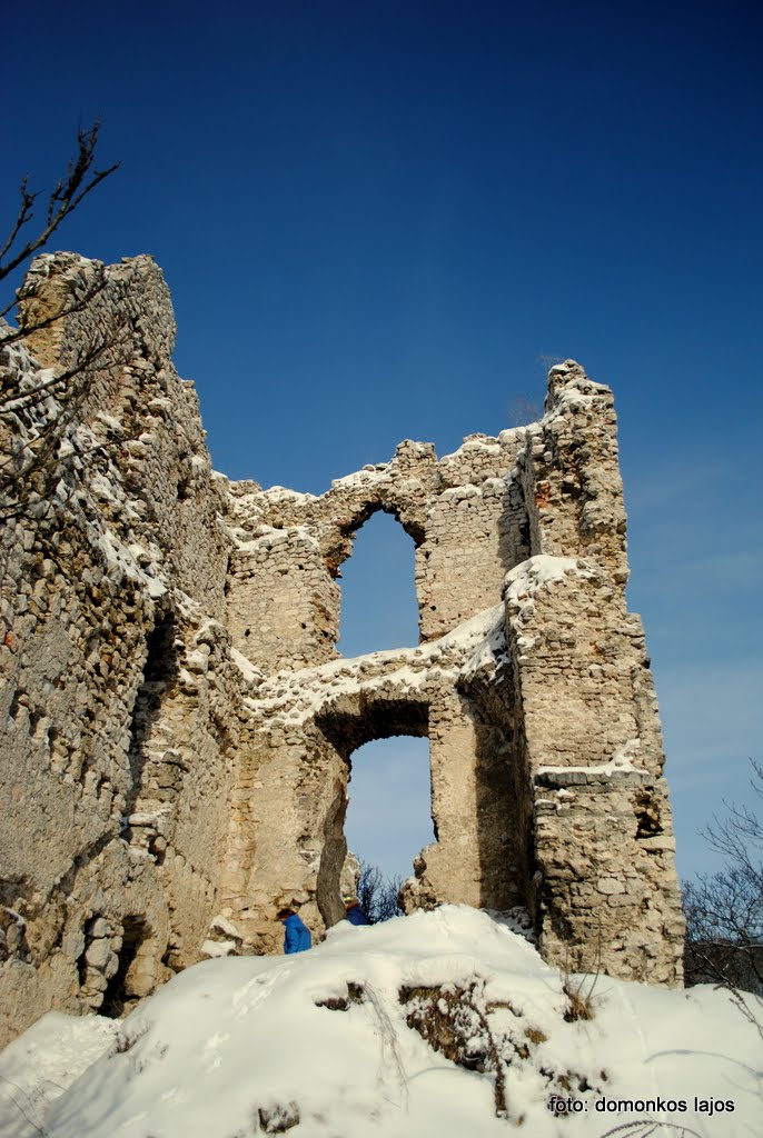 Kalandozzunk hegyen, völgyön át!: 2010.12.05. Vértes, Szárliget Vitányvár