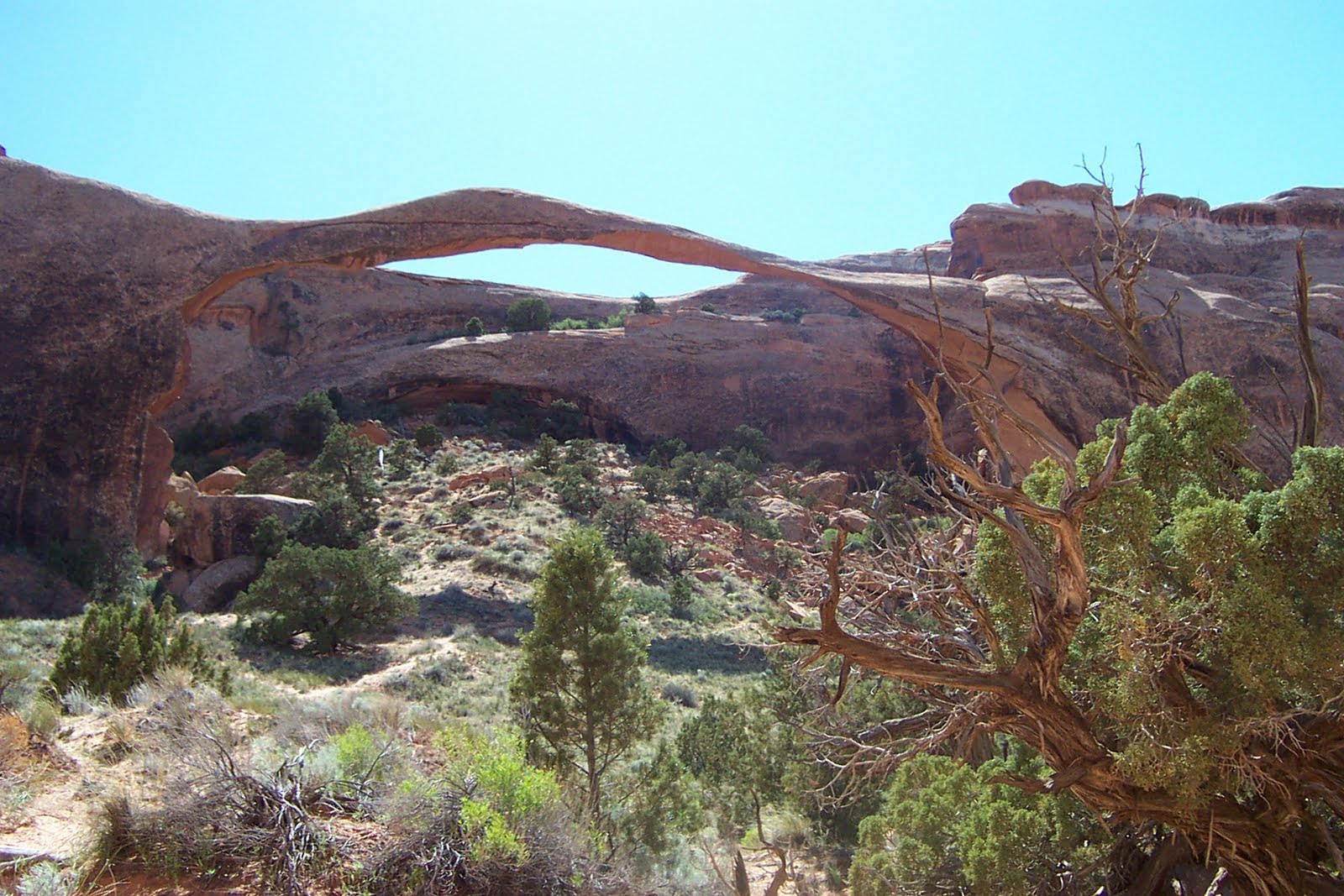 Arizona Jones Outdoor: Arches National Park