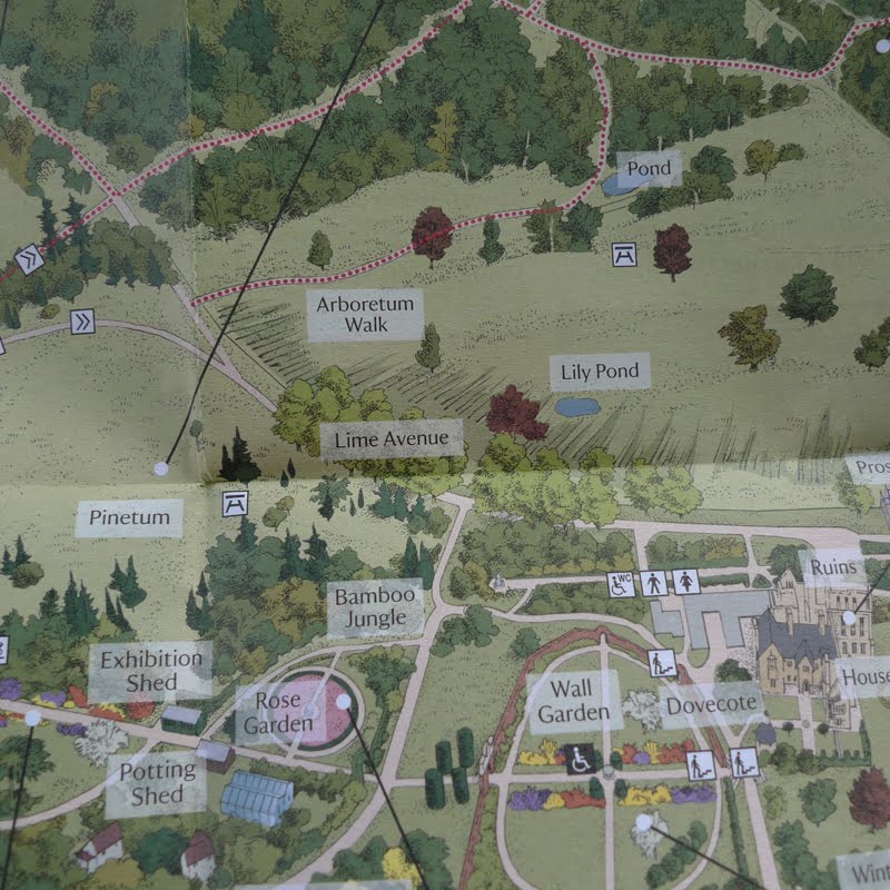 VivaciousV Photography: Nymans, West Sussex