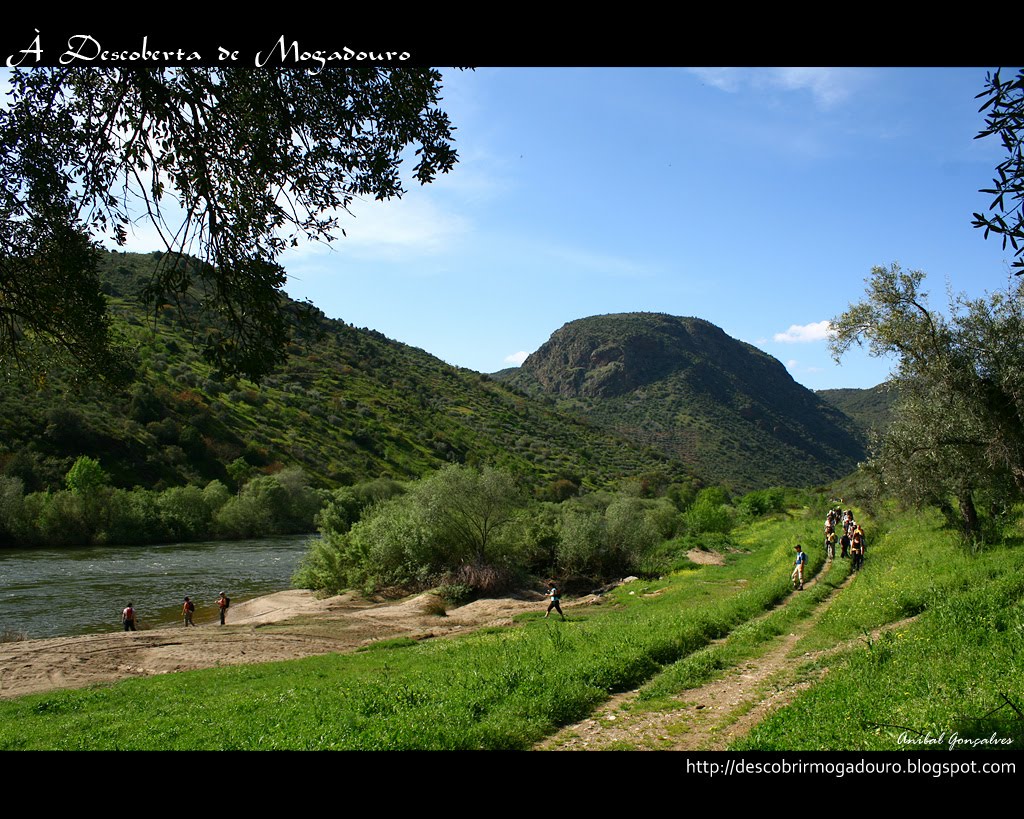 À Descoberta de Mogadouro: À Descoberta do Rio Sabor
