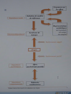 comprendre et soigner les addictions: Modèle d'analyse fonctionnelle ...