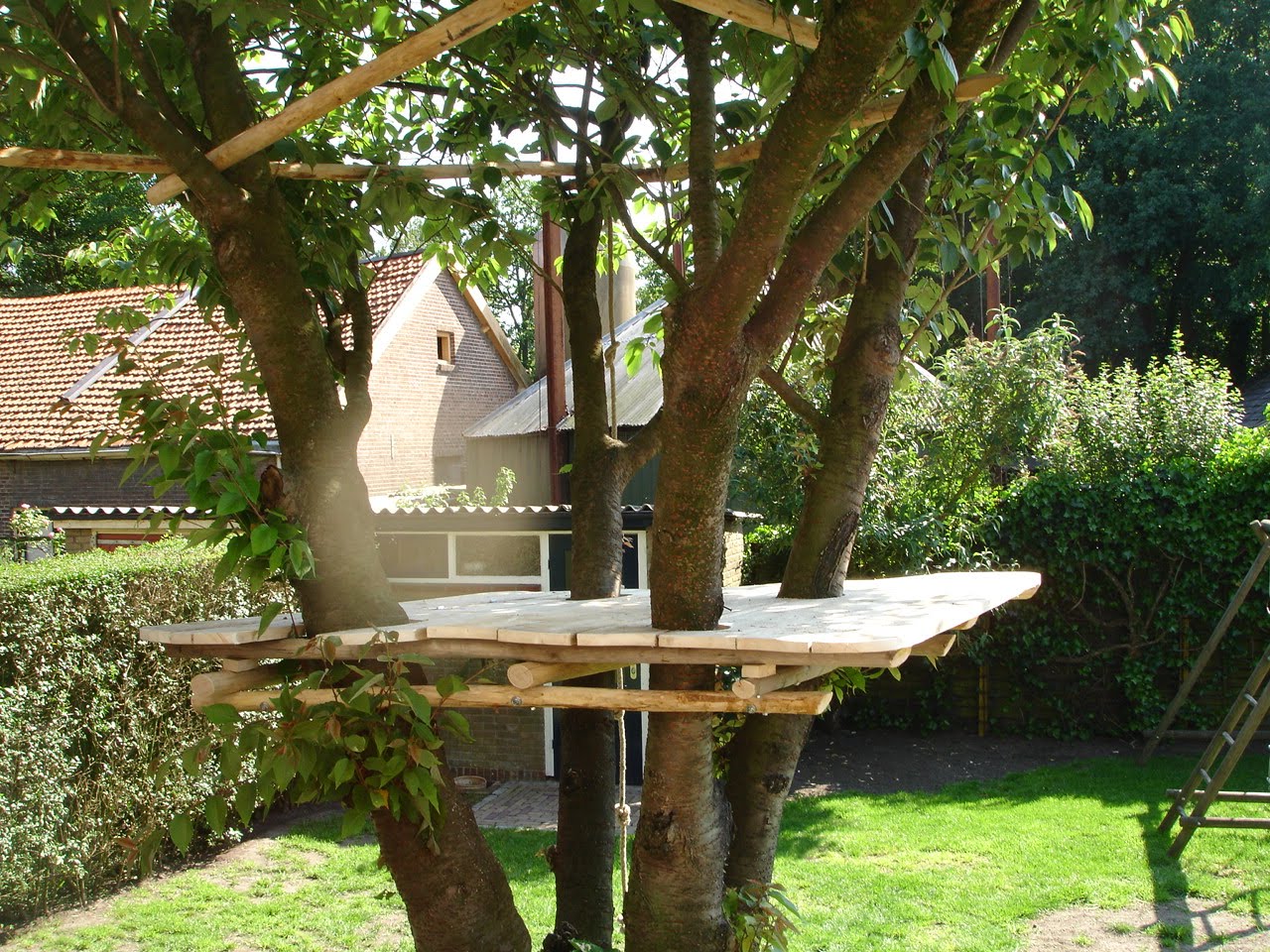 ...je kunt de boom in... met deBoomhutBende: overal BoomHutten