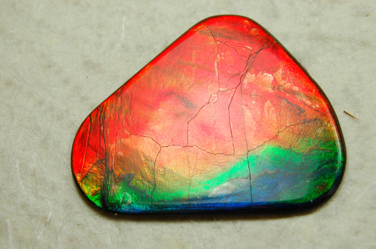Ammolite Gems and Jewelry
