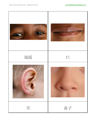 Montessori for Mandarin Chinese: Sample Pictures of Our Bilingual ...