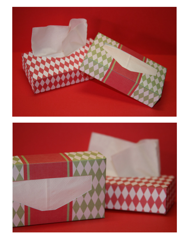 Paper Perfection: Miniature Tissue Holder Box