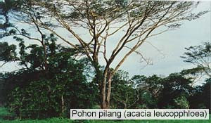 DEATH NoTE BLoGG3R: TAMAN NASIONAL BALURAN