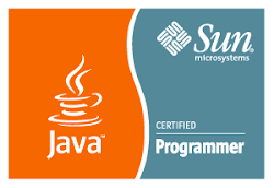 Welcome to Nick Aiva 's blog!: 11/01/2010 - 12/01/2010