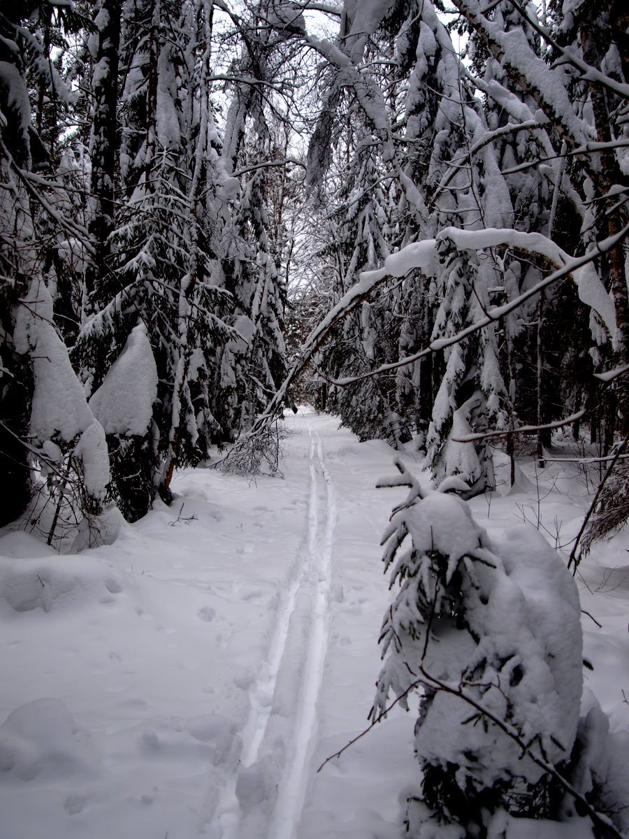 tiiuajaveeb: Tantsuga uude aastasse