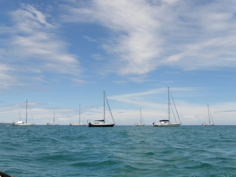 Viaja y Bucea...: Vuelta al mundo en velero, BLUE WATER RALLY: