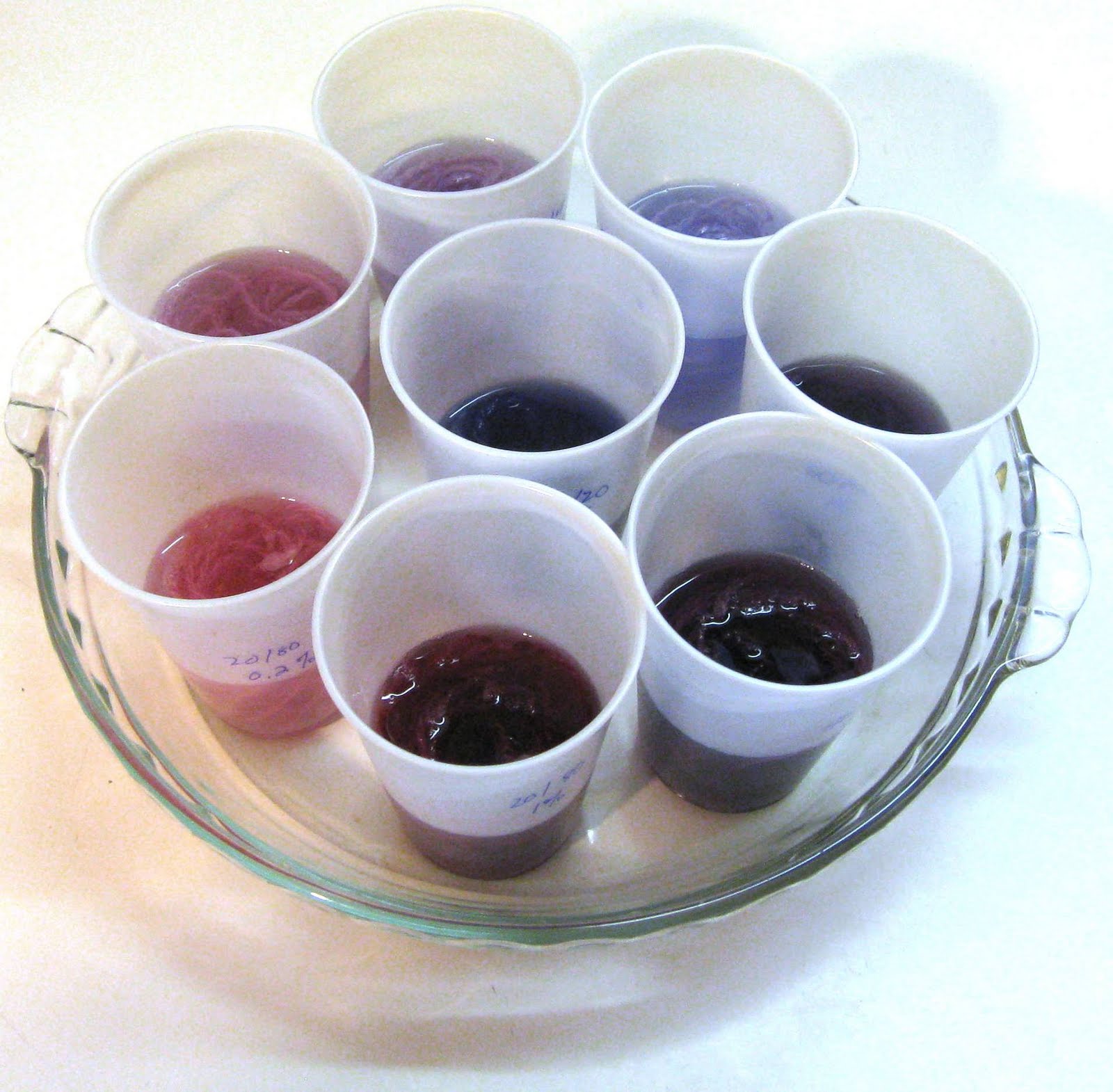 PogKnits: Purple Dye Experiment