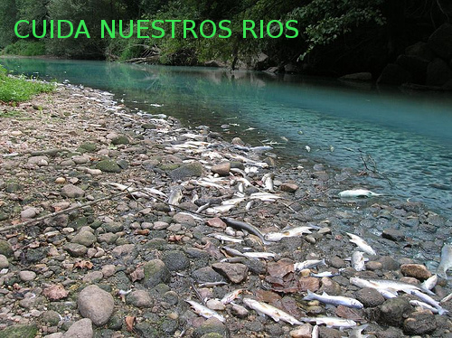 Cuidemos el Agua: CUIDA EL AGUA