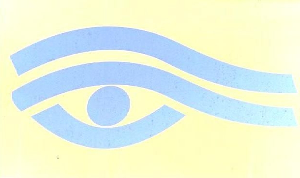 TRAVEL OPTICOS: EXAMEN DE LA VISTA