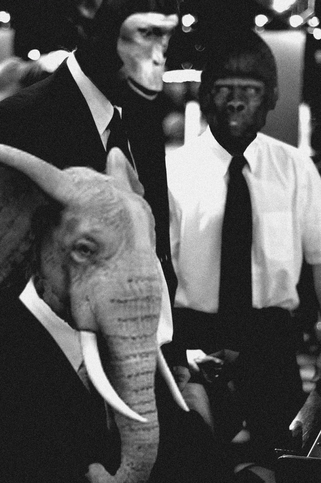 David Harris Photography: October 2010