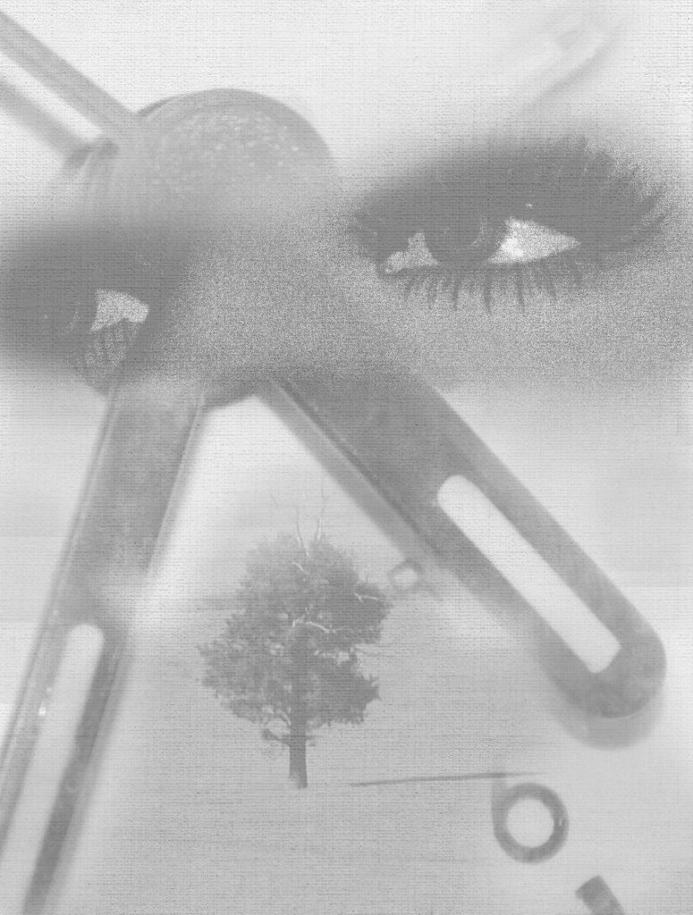 David Harris Photography: October 2010