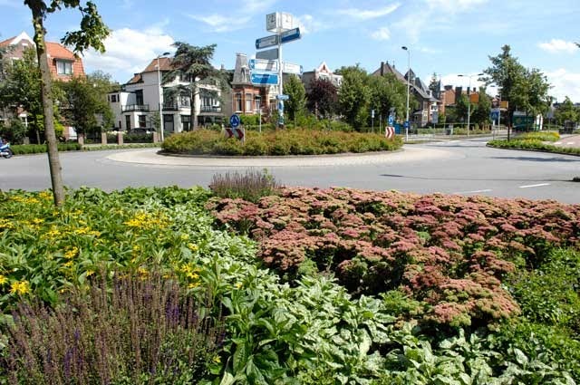 A New Approach to Street Perennials