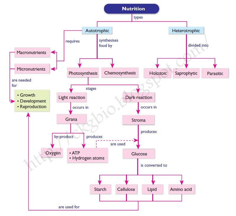 onlineteacher: Chapter 6 (form 4)Biology