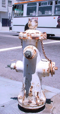Treough: The Greenberg Horse Hitch Fire hydrant