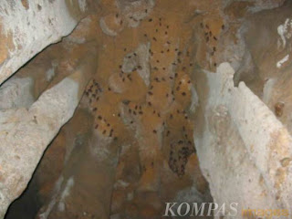 Syeh Abdul Muhyi (Pamijahan Tasikmalaya)