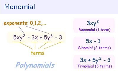 Monomial | Choose Online Math Guide