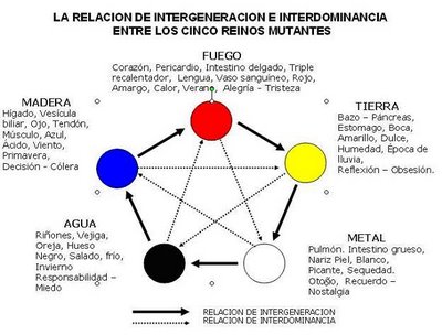 KOA SHIATSU: TEORIA DELS 5 ELEMENTS