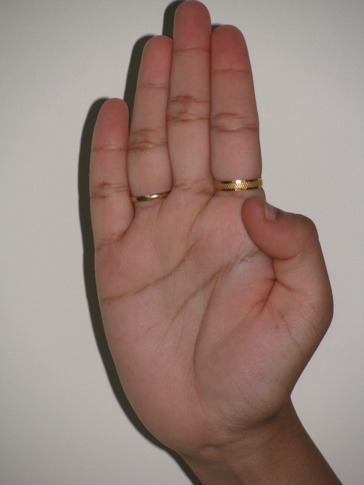 Bharatanatyam Mudras Pataka