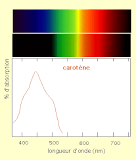 COMME UN MILLE FEUILLES: 7. Spectres d'absorption des différents ...