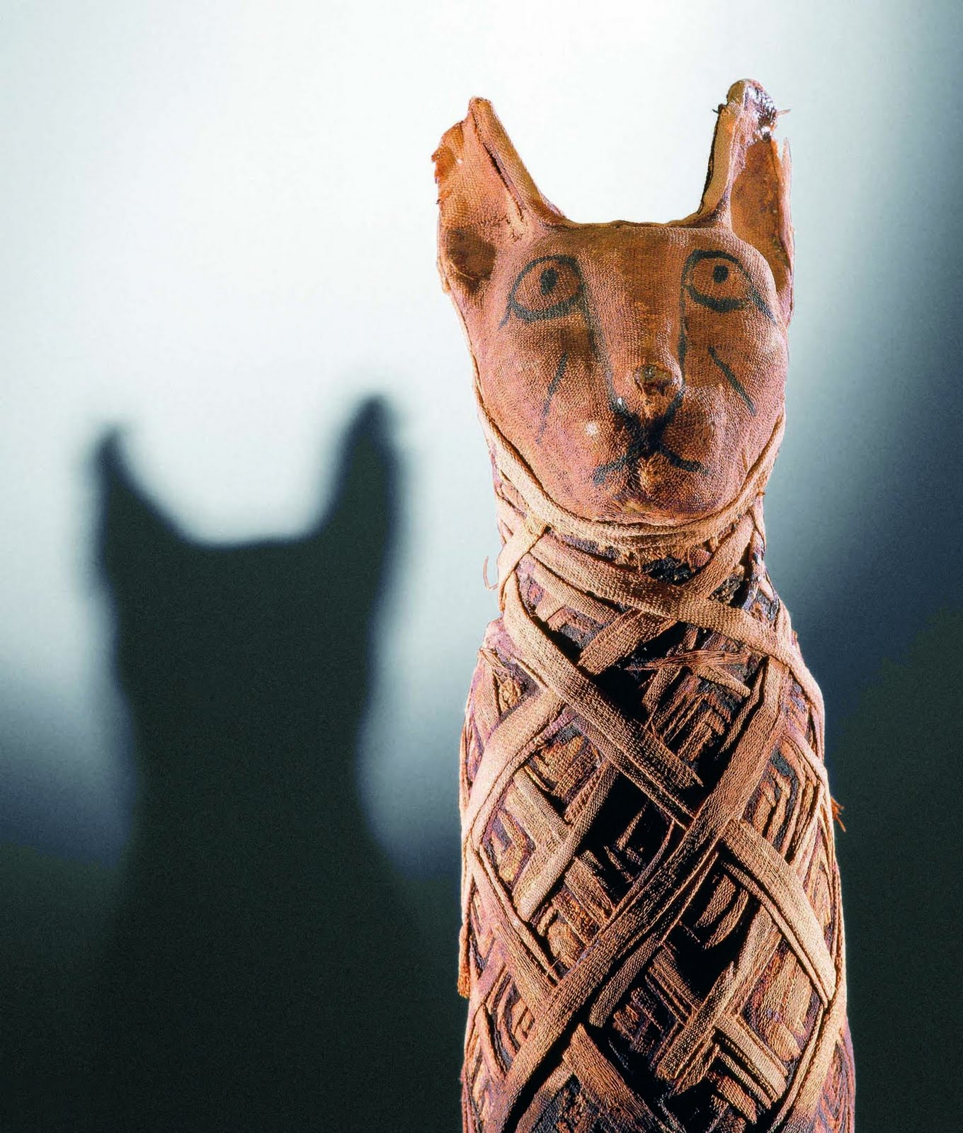 Cat Mummy Penn Museum
