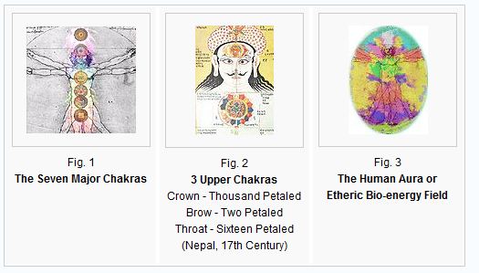 The Kundalini Process: The Chakras and their Petals - A Technical Overview