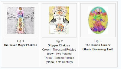 The Kundalini Process: The Chakras and their Petals - A Technical Overview