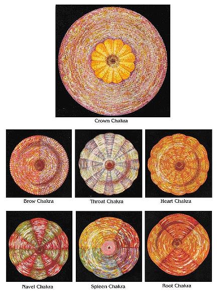 The Kundalini Process: The Chakras and their Petals - A Technical Overview