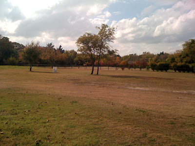 DFW Parks & Playgrounds: Red Bird Park